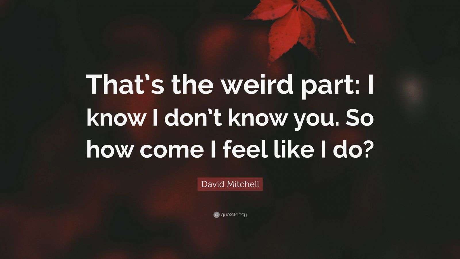 David Mitchell Quote: “That’s the weird part: I know I don’t know you ...