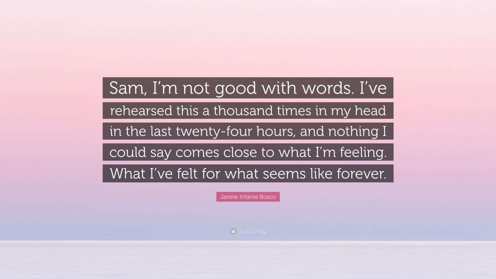Janine Infante Bosco Quote: “Sam, I’m not good with words. I’ve ...