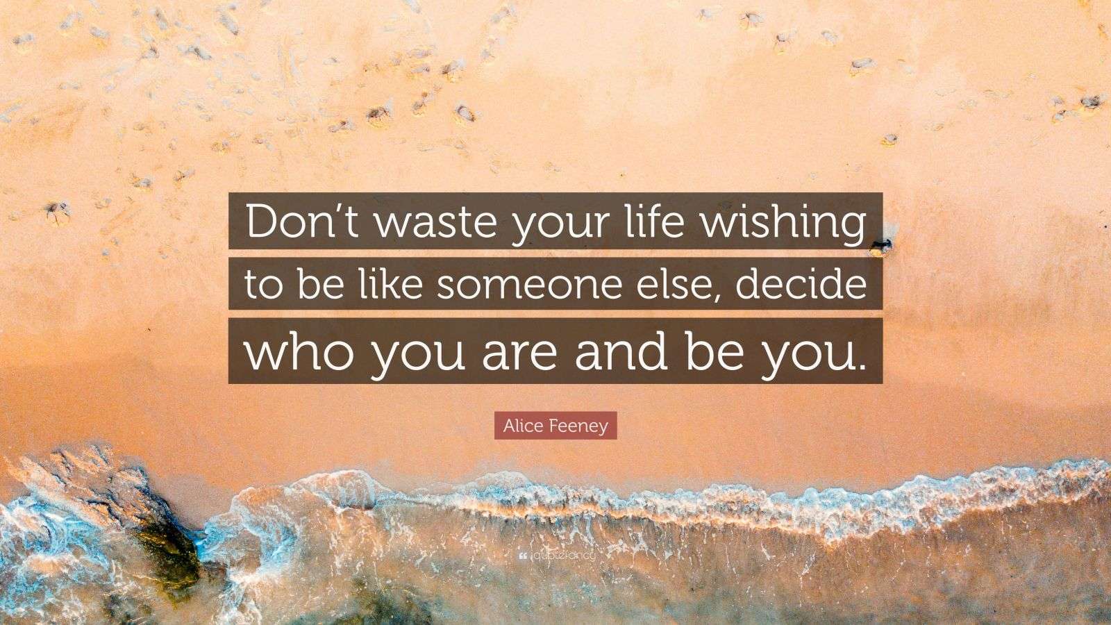 Alice Feeney Quote: “Don’t waste your life wishing to be like someone ...