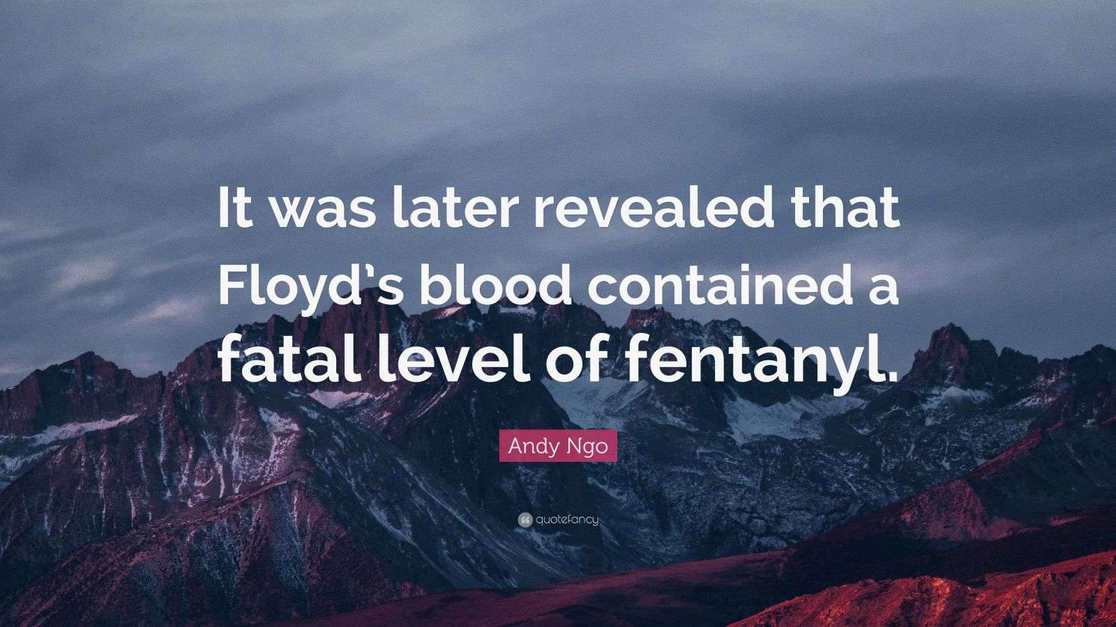 Andy Ngo Quote: “It was later revealed that Floyd’s blood contained a ...