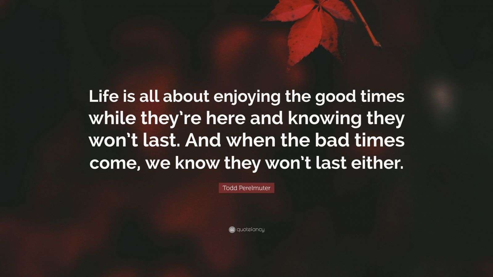 Todd Perelmuter Quote: “Life is all about enjoying the good times while ...
