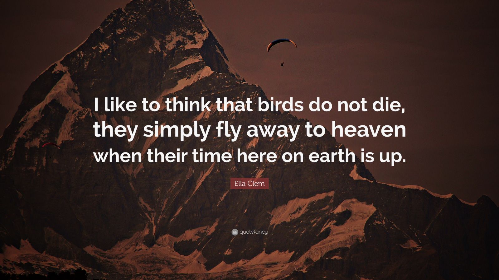 Ella Clem Quote: “I like to think that birds do not die, they simply ...