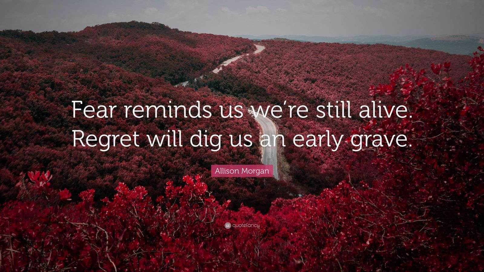 Allison Morgan Quote: “Fear reminds us we’re still alive. Regret will ...