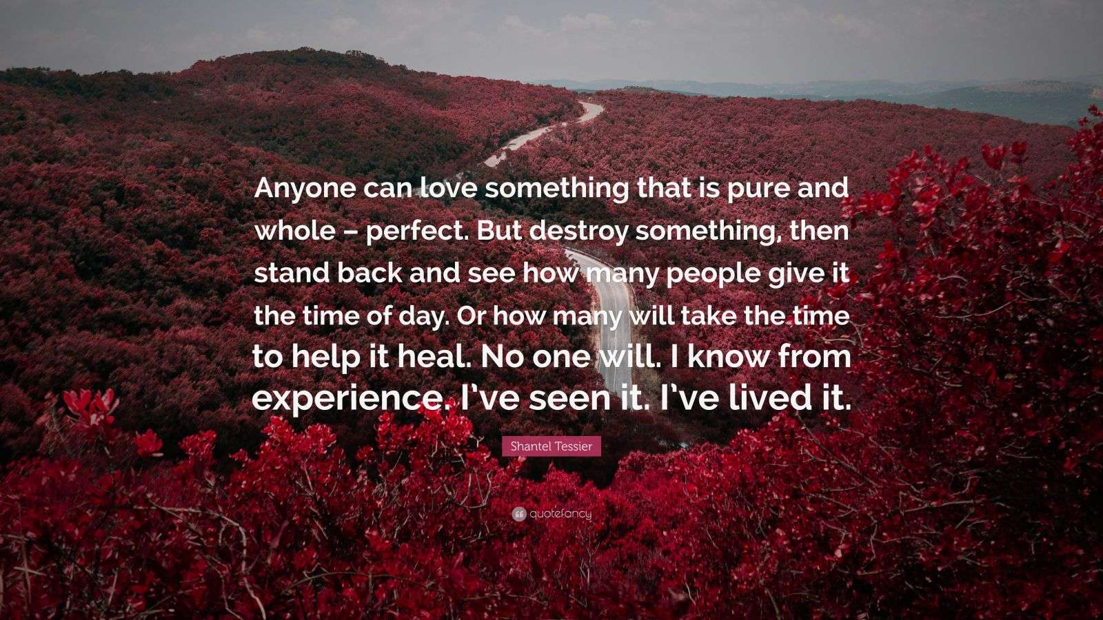 Shantel Tessier Quote: “Anyone can love something that is pure and ...