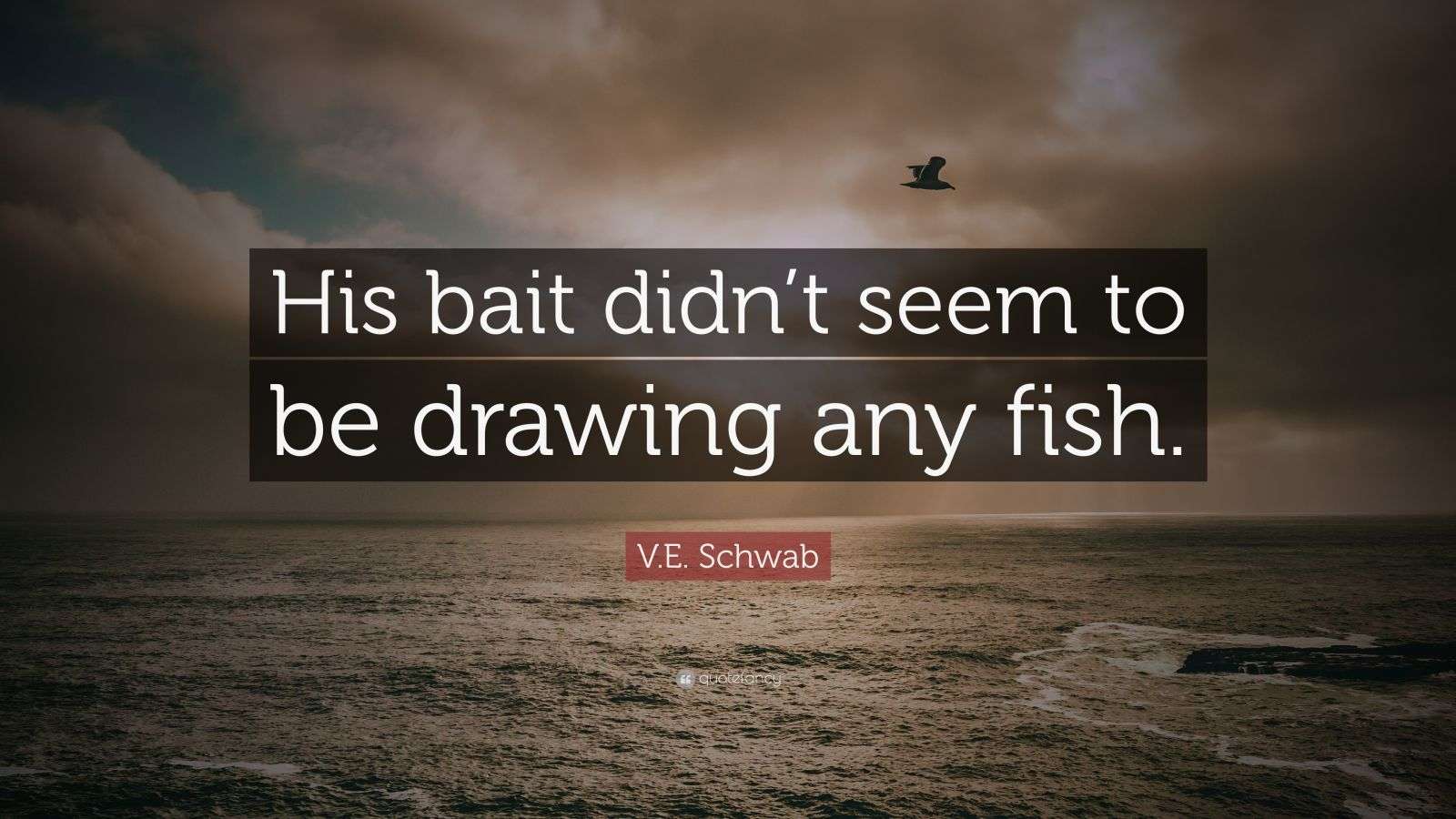 V.E. Schwab Quote: “His bait didn’t seem to be drawing any fish.”