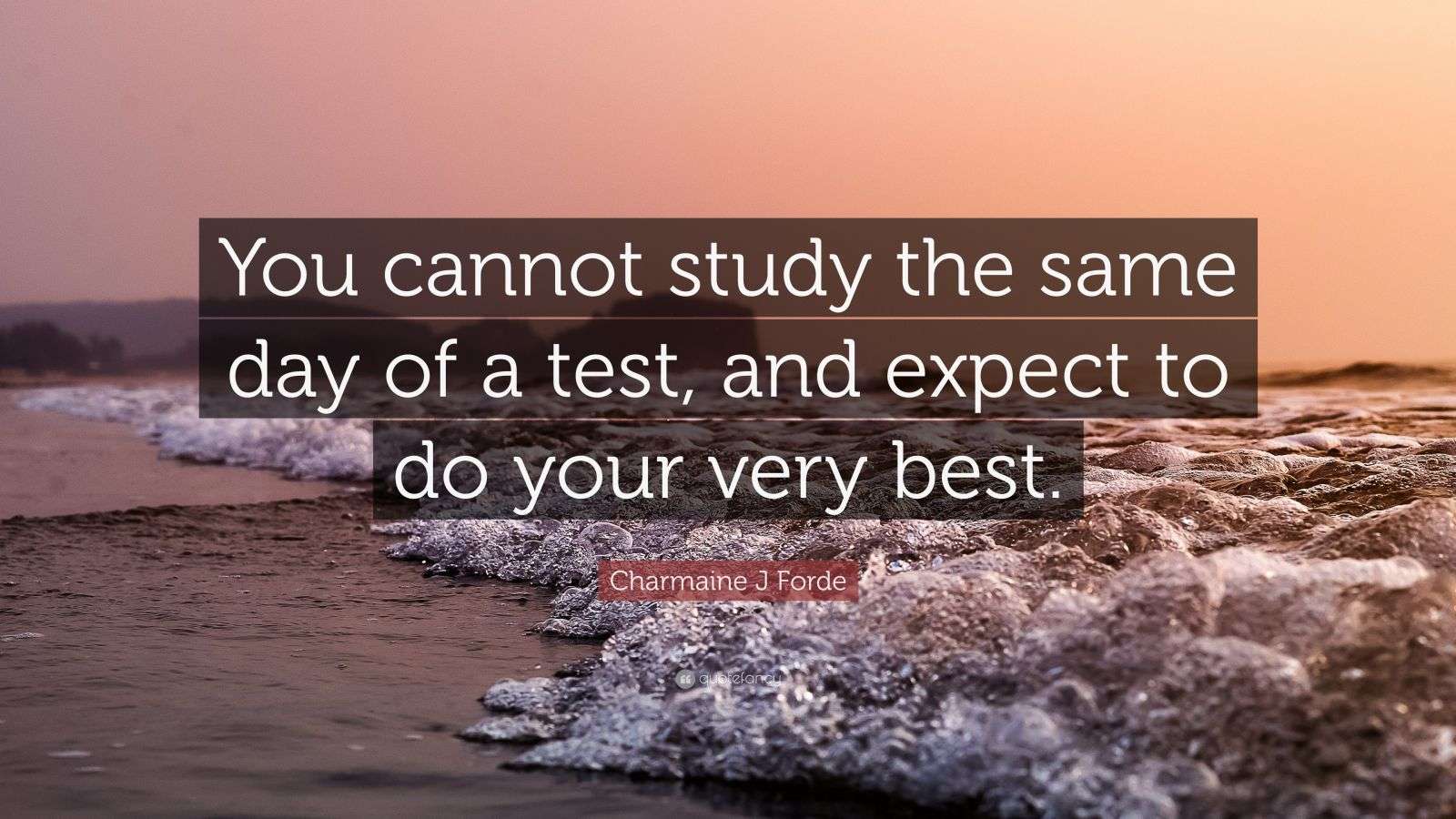 Charmaine J Forde Quote: “You cannot study the same day of a test, and ...