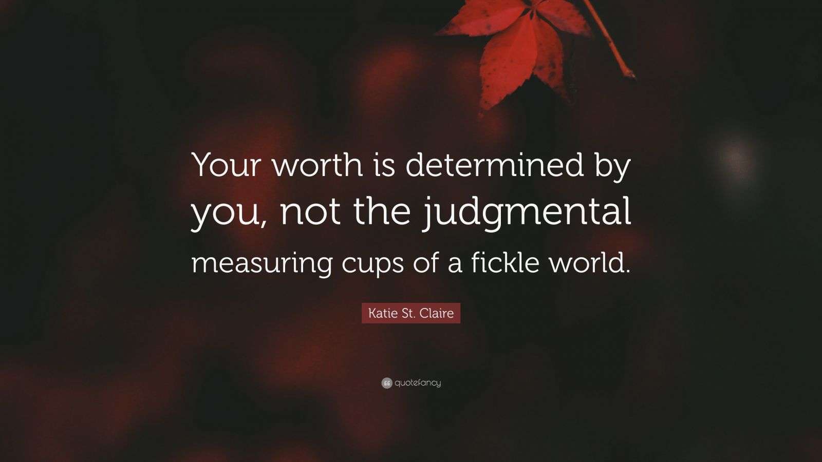 Katie St. Claire Quote: “Your worth is determined by you, not the ...