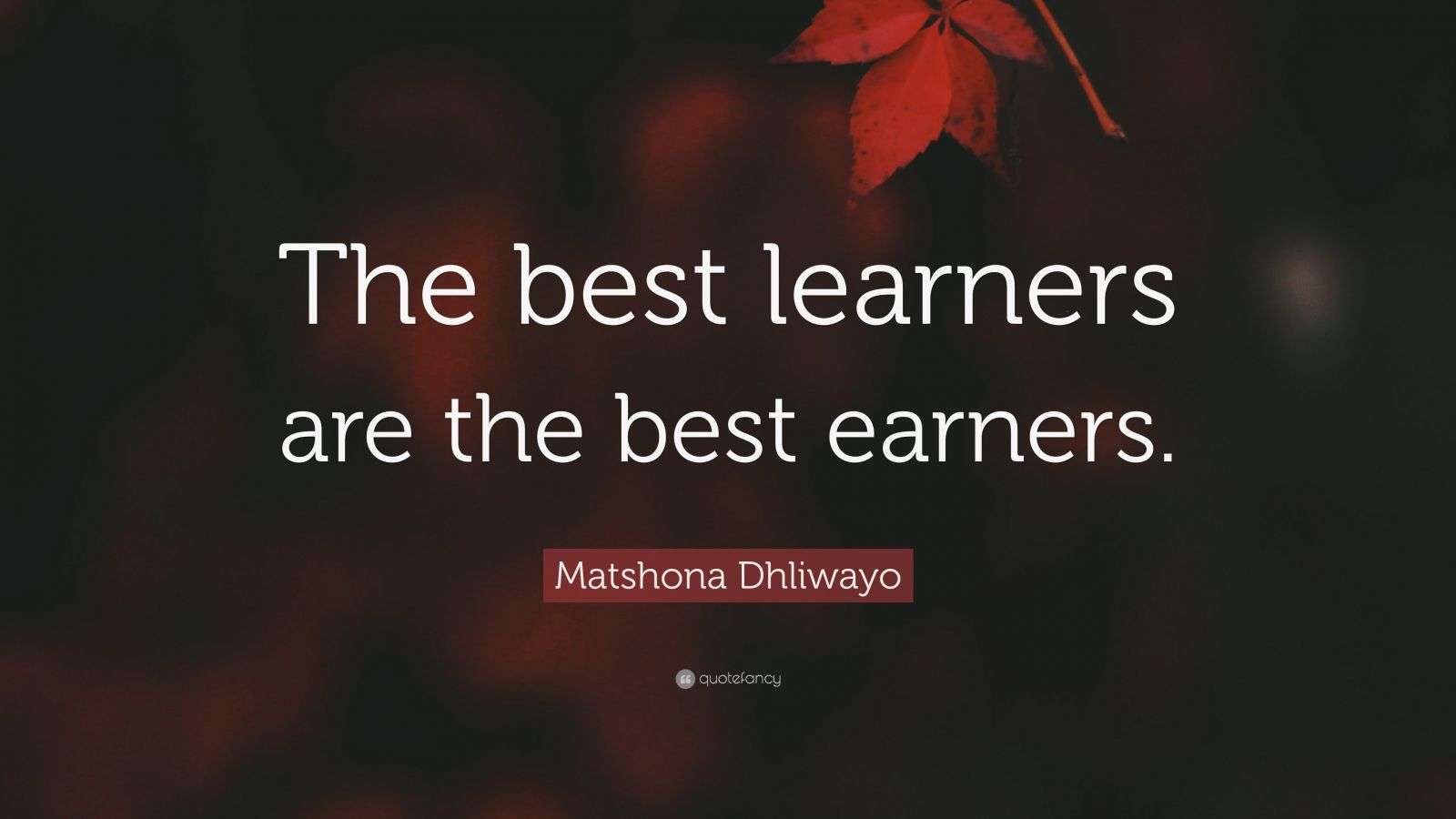 Matshona Dhliwayo Quote: “The best learners are the best earners.”
