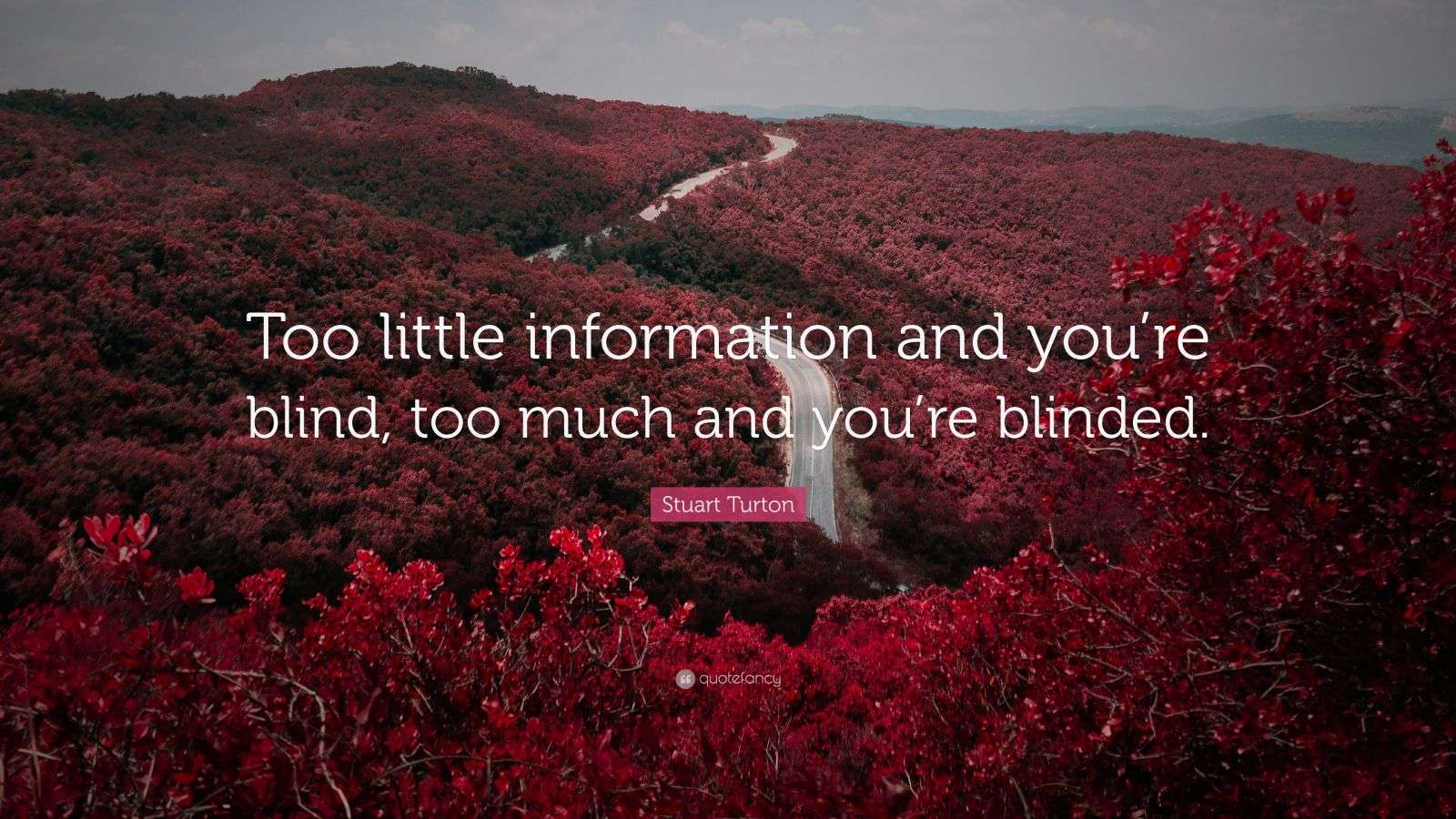 Stuart Turton Quote: “Too little information and you’re blind, too much ...
