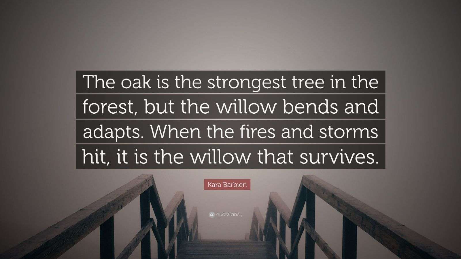 Kara Barbieri Quote: “The oak is the strongest tree in the forest, but ...