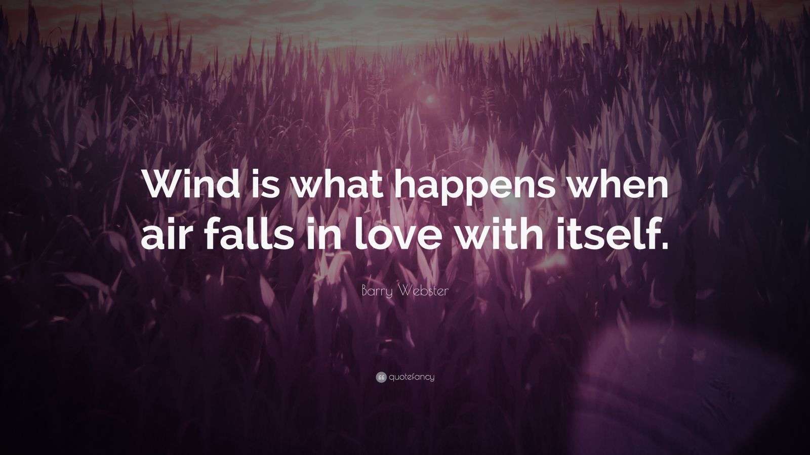 Barry Webster Quote: “Wind is what happens when air falls in love with ...