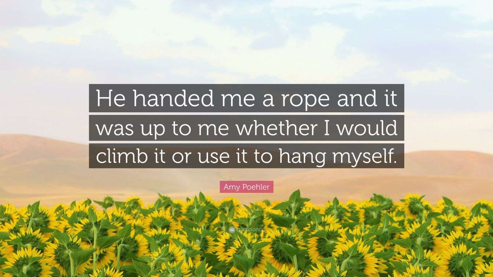 Amy Poehler Quote: “He handed me a rope and it was up to me whether I ...