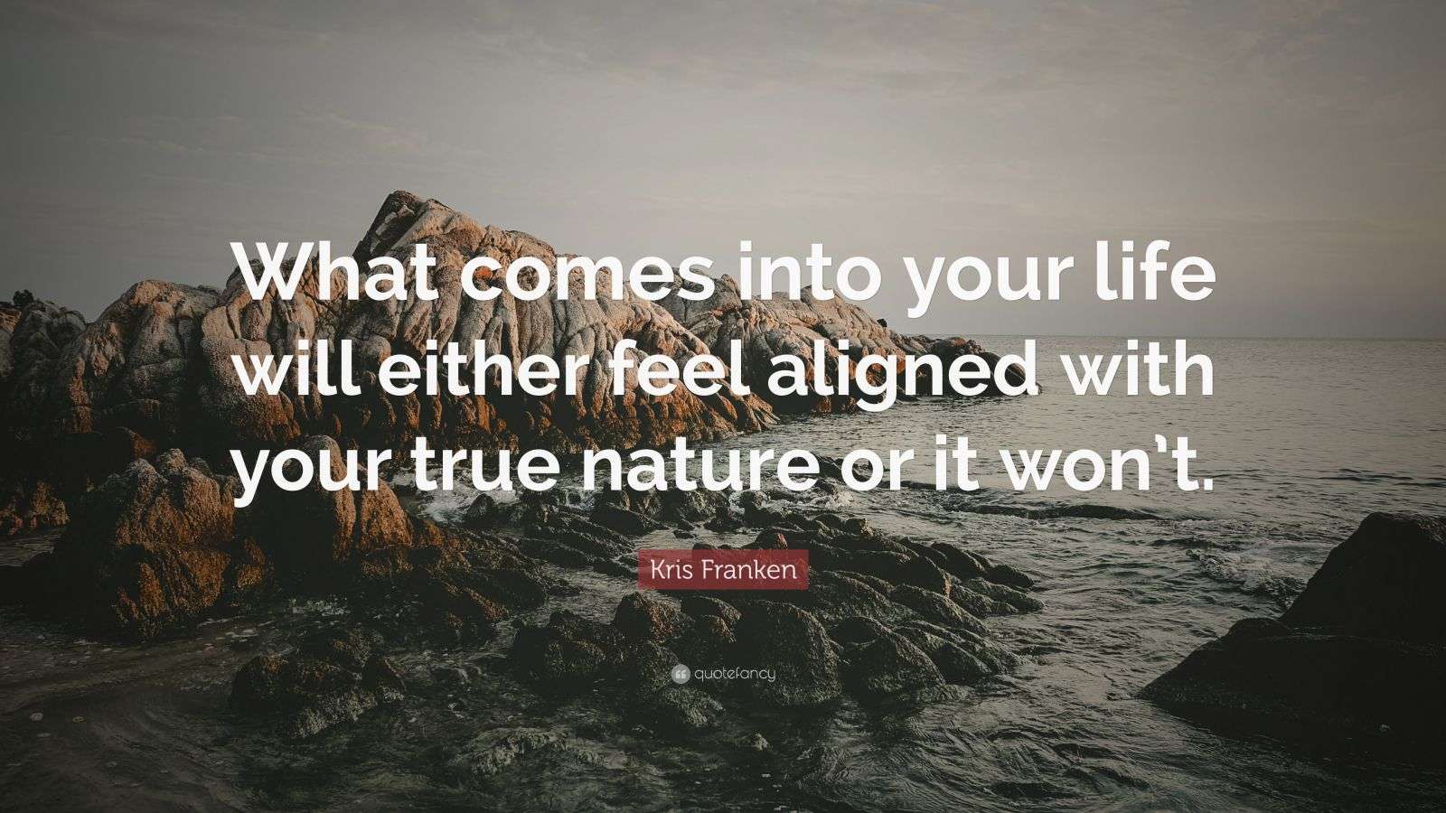 Kris Franken Quote What Comes Into Your Life Will Either Feel Aligned