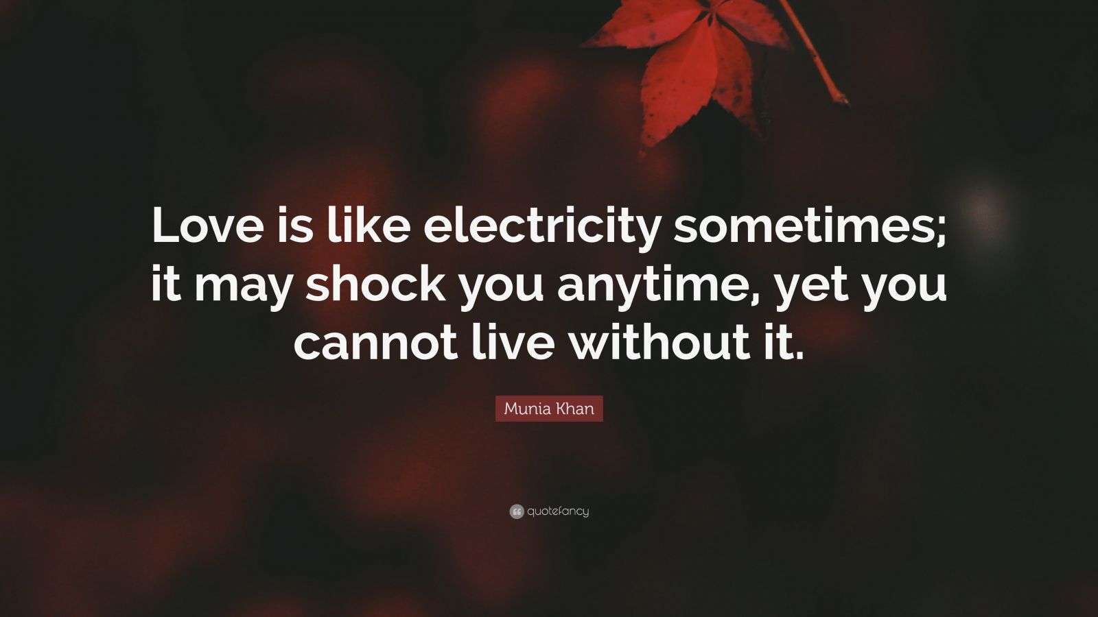 Munia Khan Quote: “Love is like electricity sometimes; it may shock you anytime, yet you cannot ...