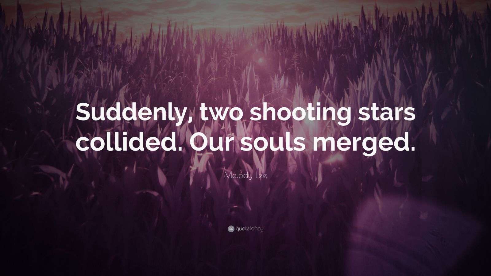 Melody Lee Quote: “Suddenly, two shooting stars collided. Our souls ...