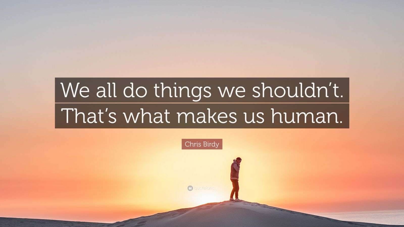 Chris Birdy Quote: “We all do things we shouldn’t. That’s what makes us ...