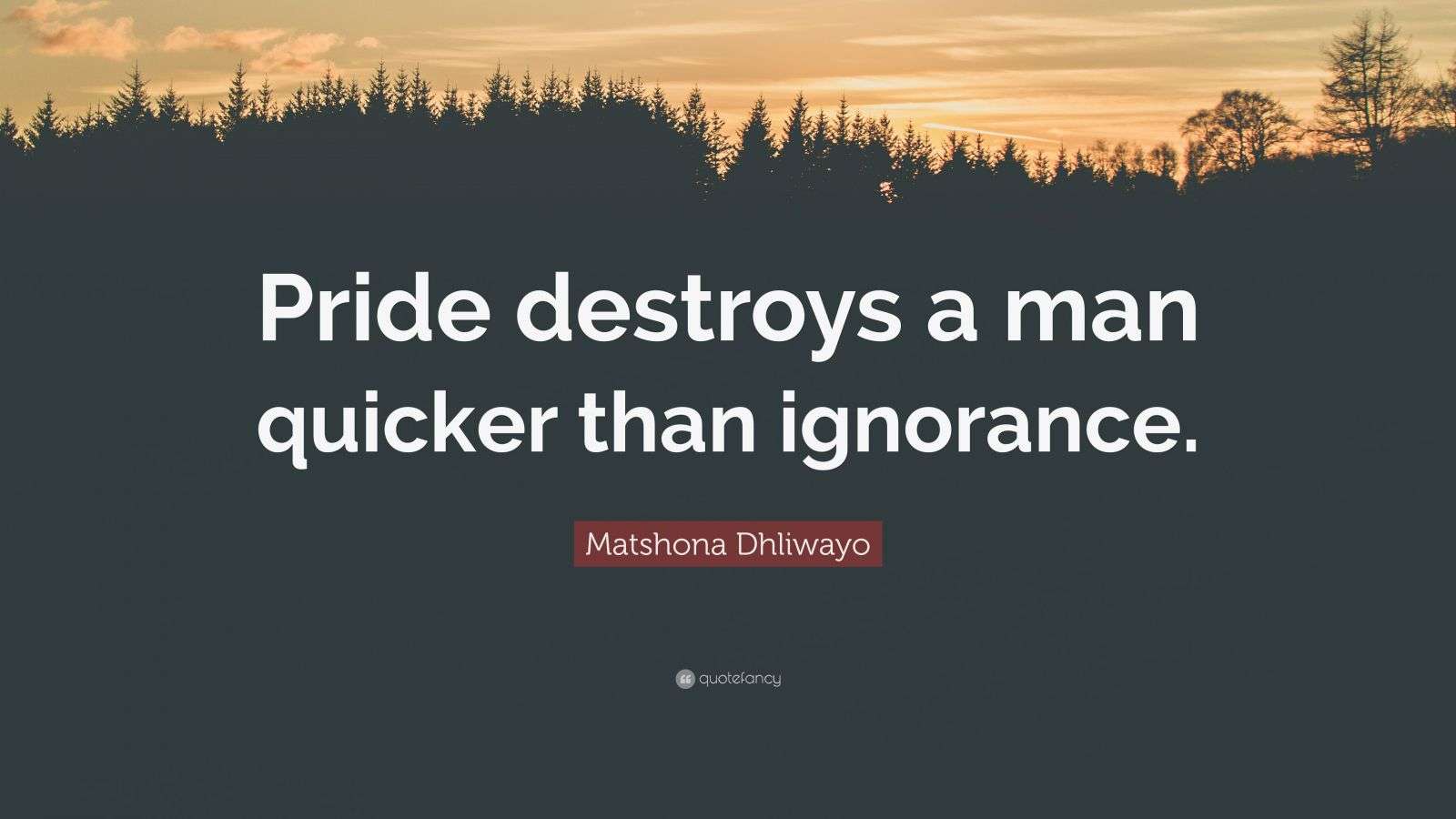 Matshona Dhliwayo Quote: “Pride destroys a man quicker than ignorance.”