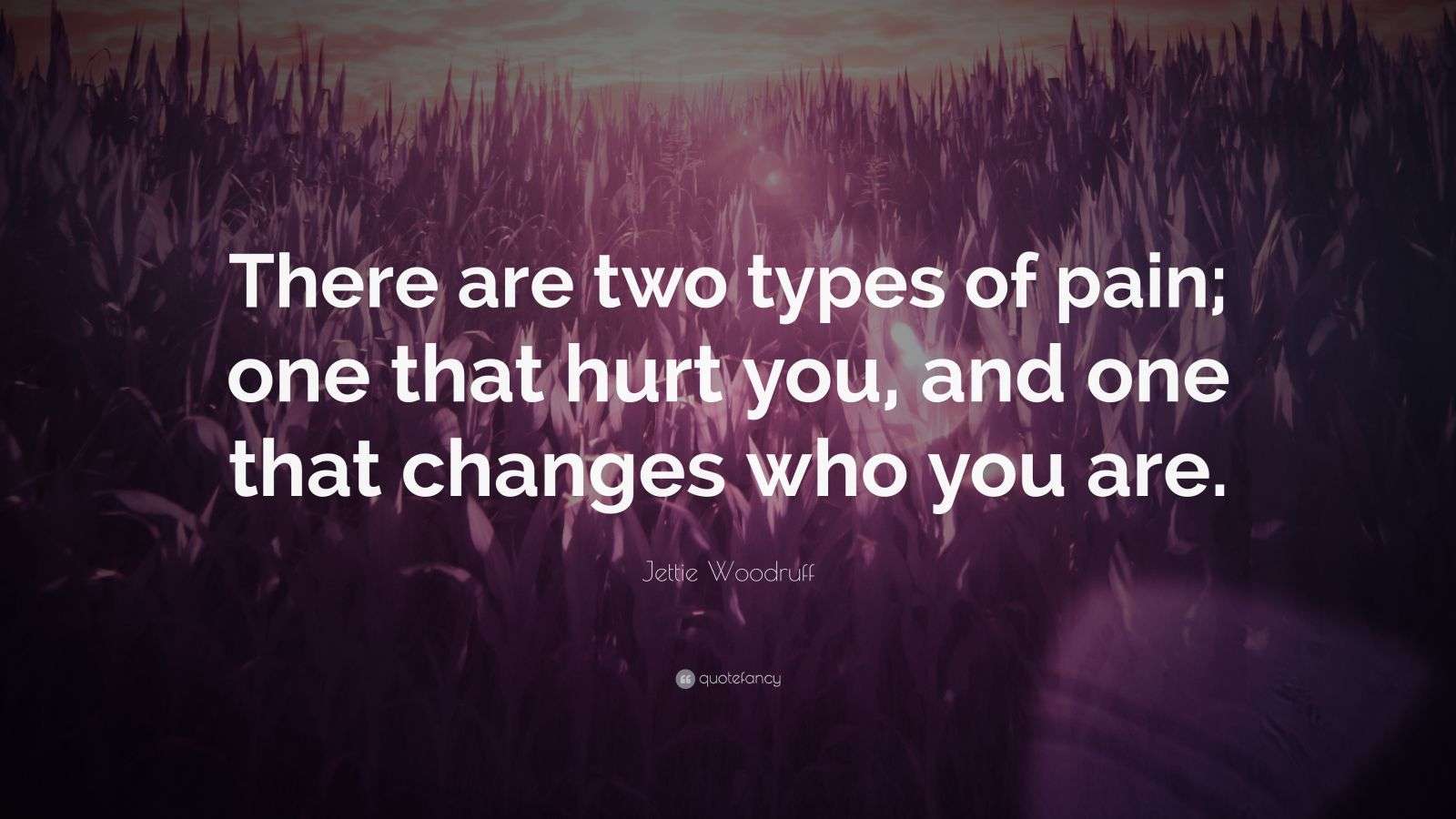Jettie Woodruff Quote: “There are two types of pain; one that hurt you ...