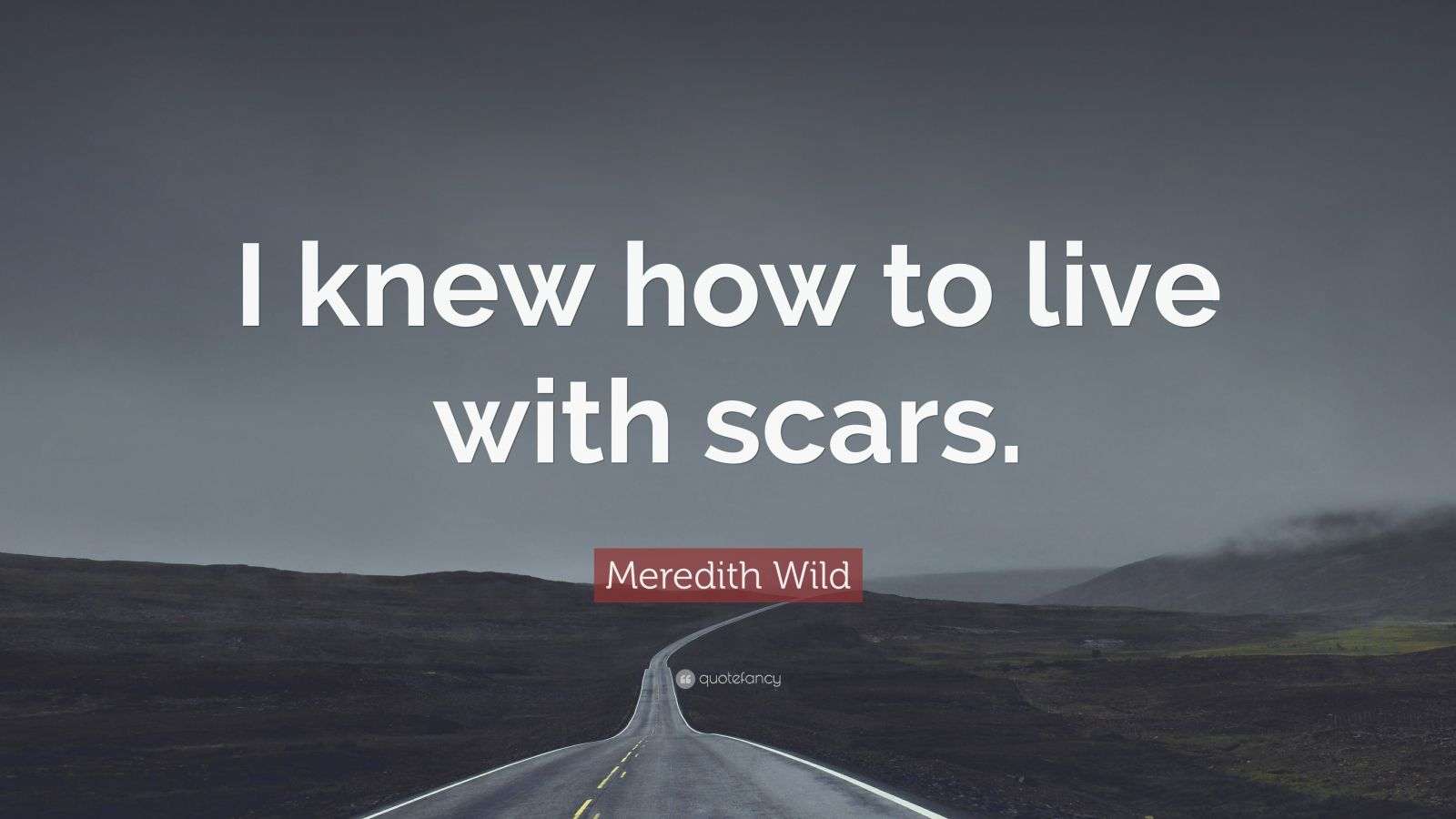 Meredith Wild Quote: “I knew how to live with scars.”