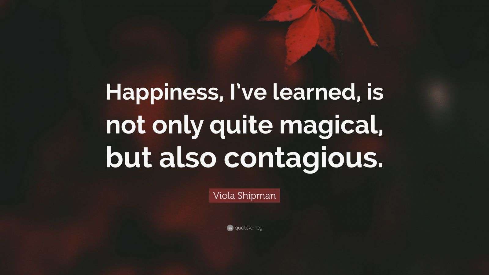 Viola Shipman Quote: “Happiness, I’ve learned, is not only quite ...