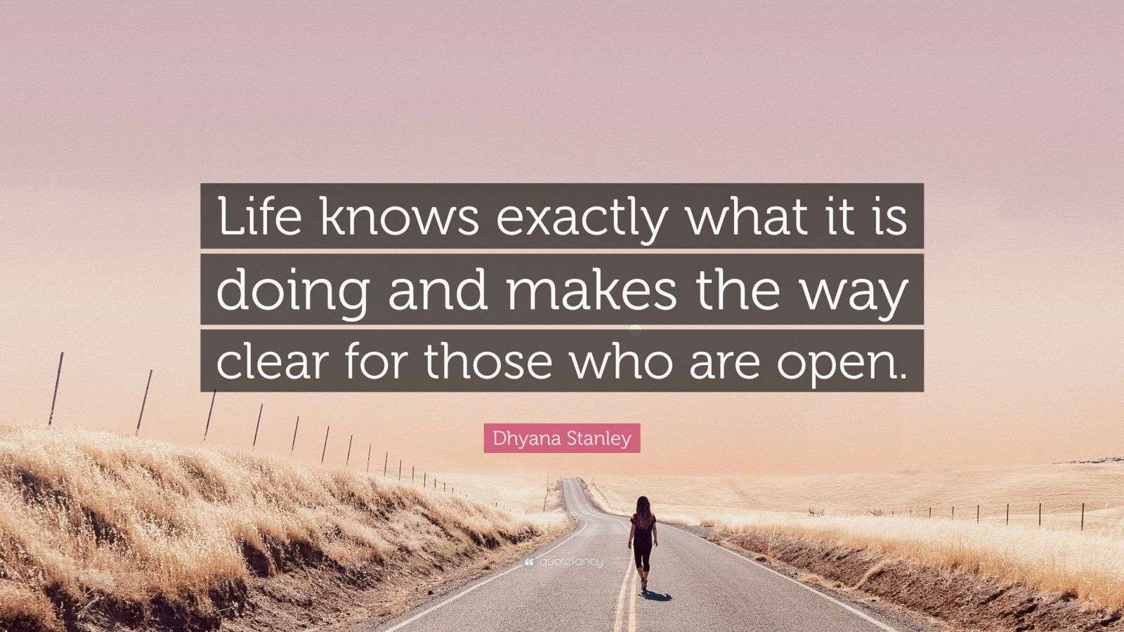 Dhyana Stanley Quote: “Life knows exactly what it is doing and makes ...
