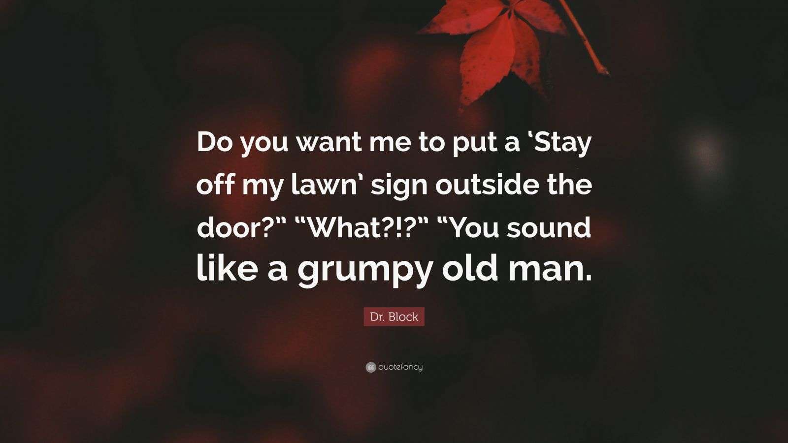 Dr. Block Quote: “Do you want me to put a ‘Stay off my lawn’ sign ...