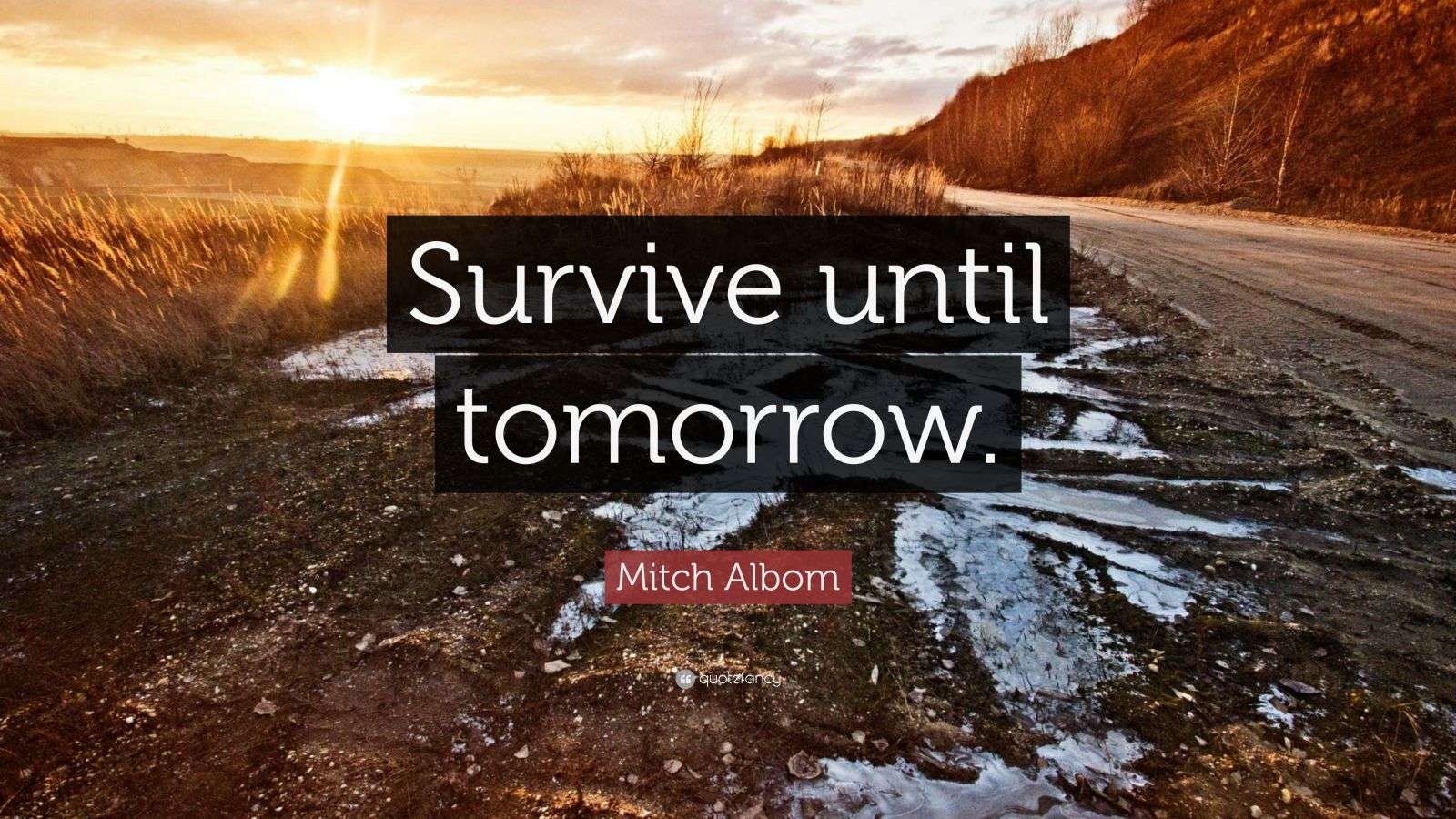 Mitch Albom Quote: “Survive until tomorrow.”