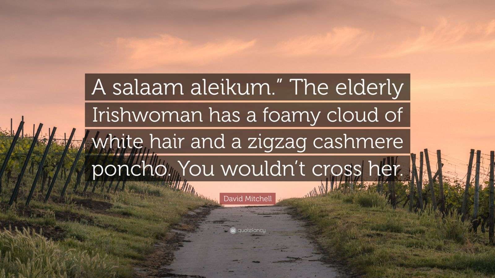 David Mitchell Quote: “A salaam aleikum.” The elderly Irishwoman has a ...