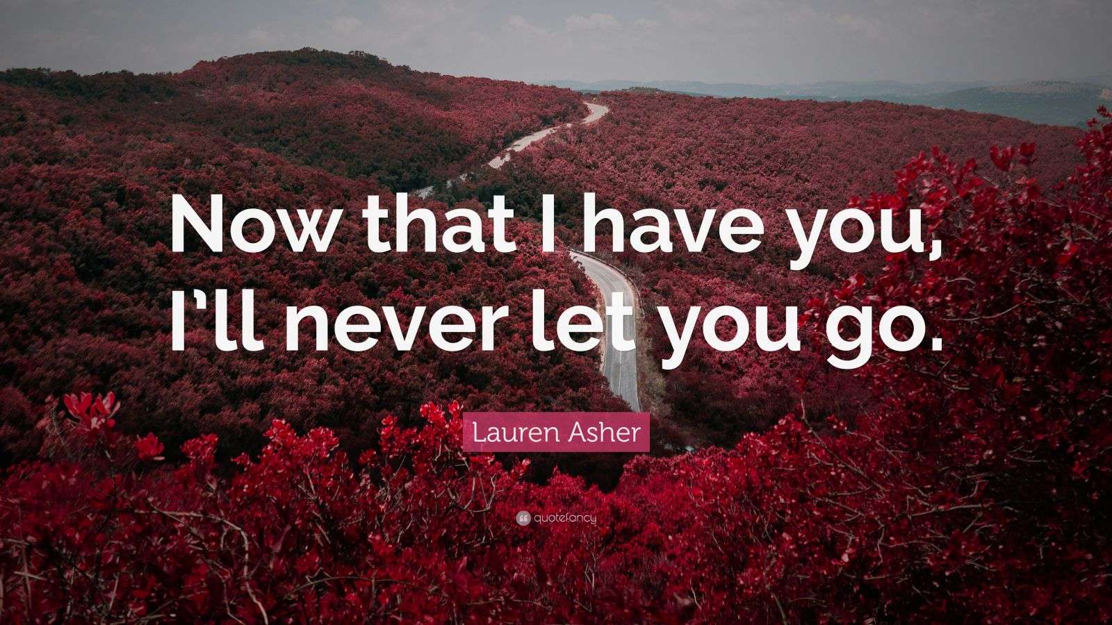 Lauren Asher Quote: “Now that I have you, I’ll never let you go.”