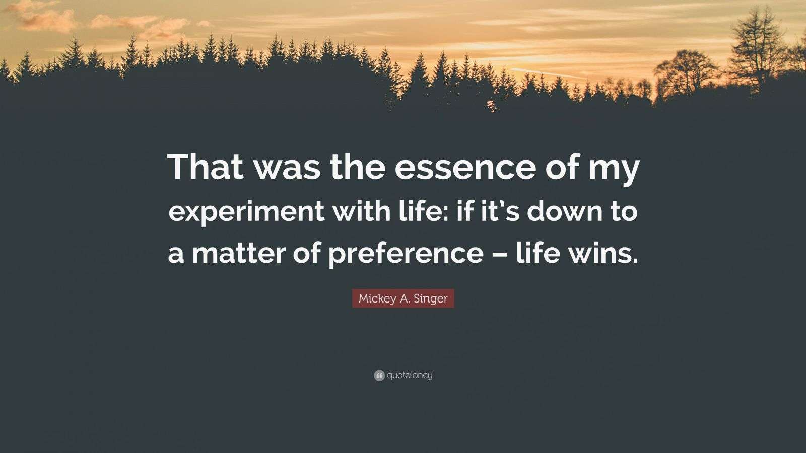 Mickey A. Singer Quote: “That was the essence of my experiment with ...