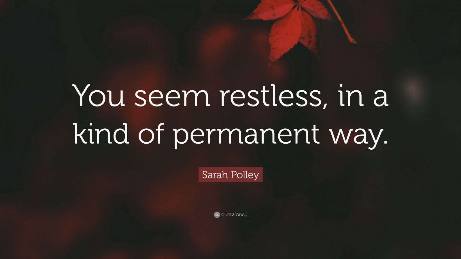 Sarah Polley Quote: “You seem restless, in a kind of permanent way.”