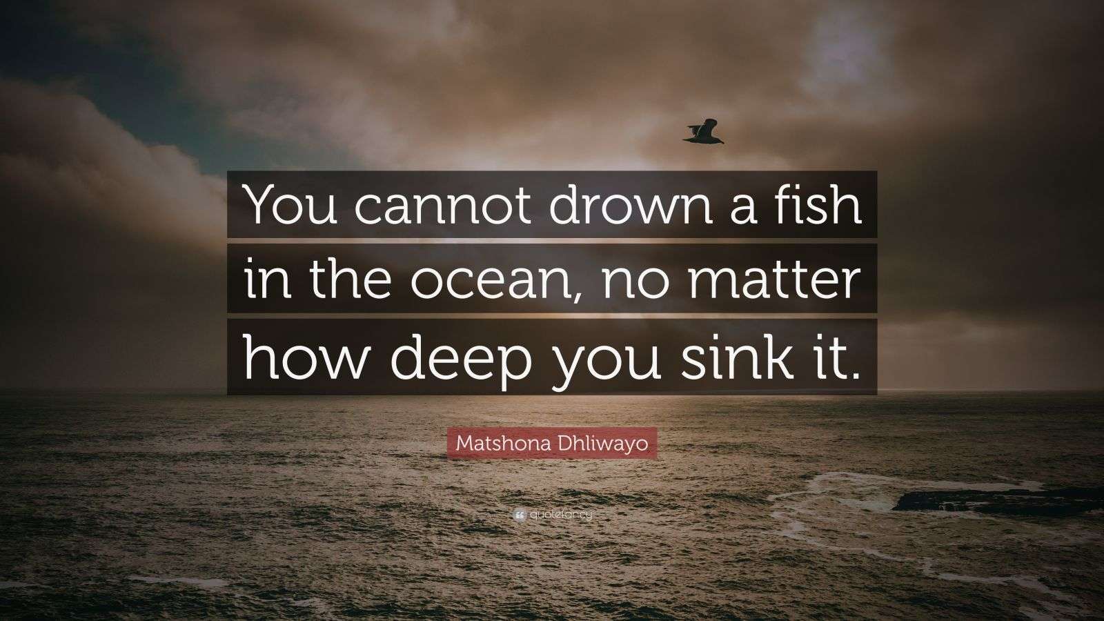 Matshona Dhliwayo Quote: “You cannot drown a fish in the ocean, no ...