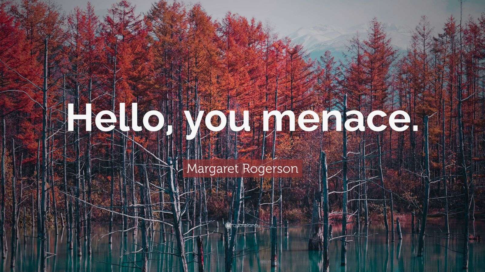Margaret Rogerson Quote: “Hello, you menace.”