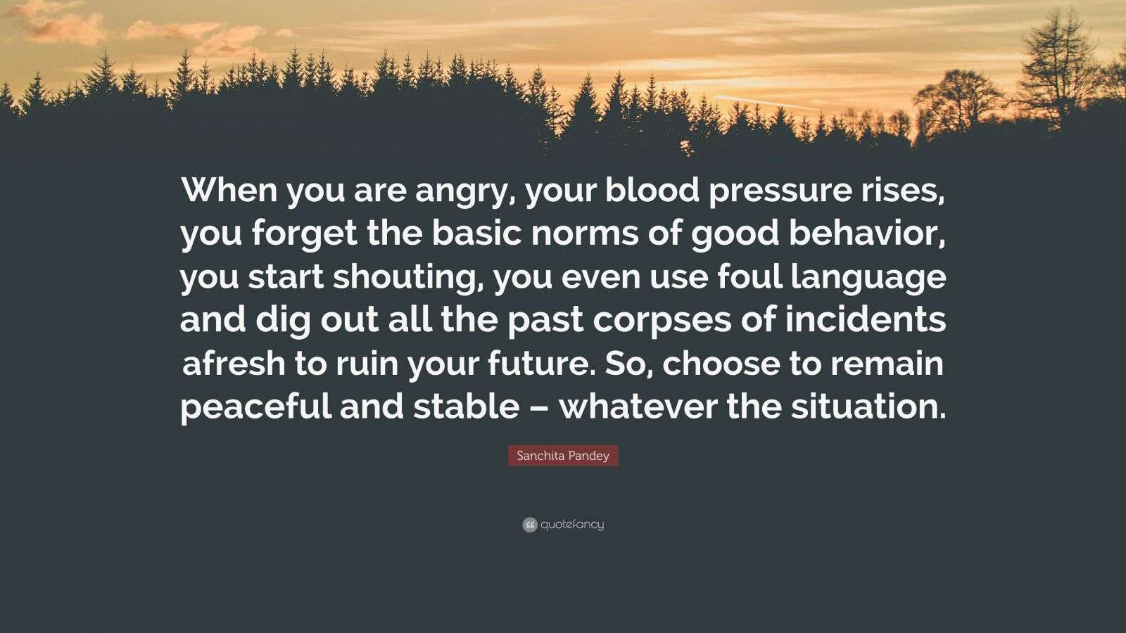 Sanchita Pandey Quote: “When you are angry, your blood pressure rises ...