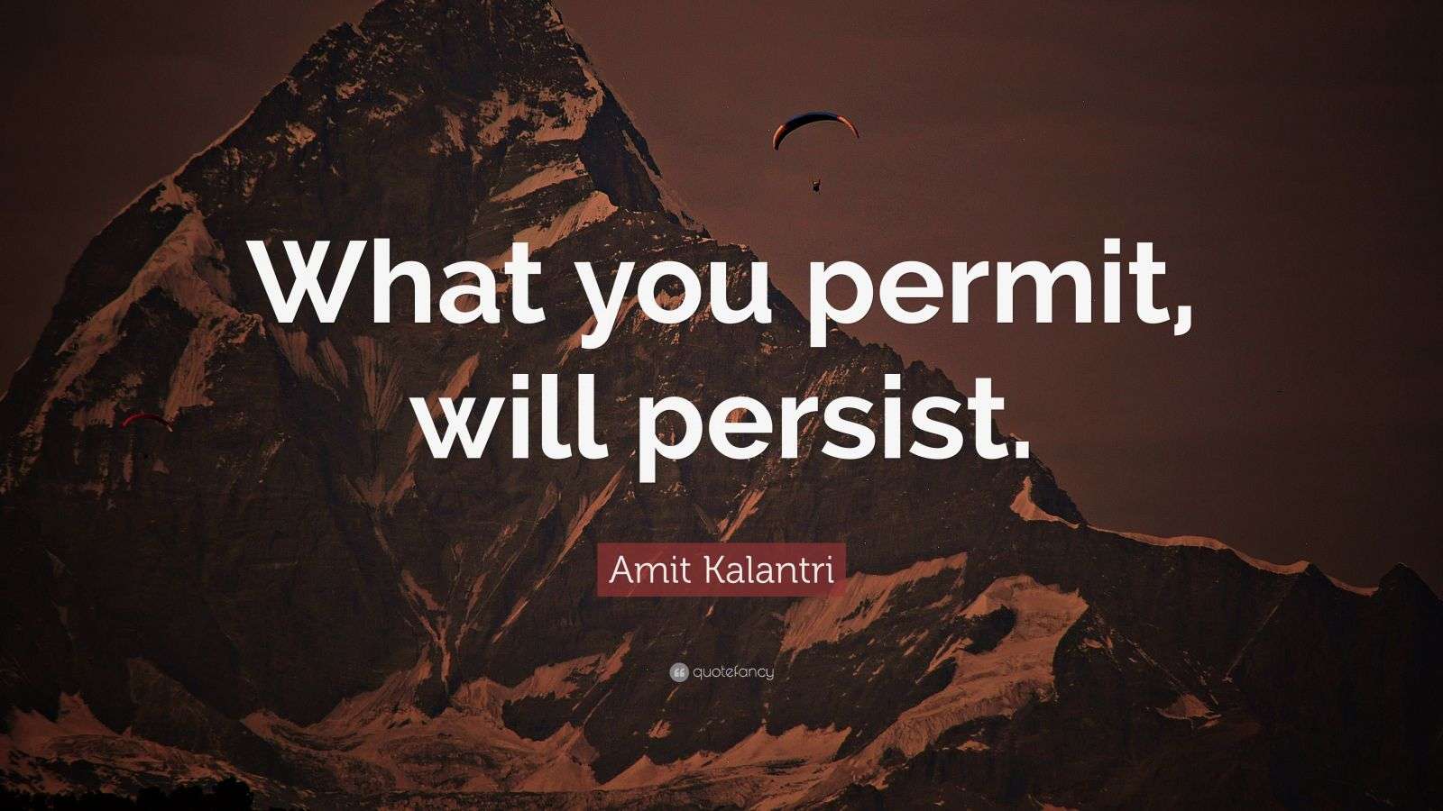 Amit Kalantri Quote: “What you permit, will persist.”