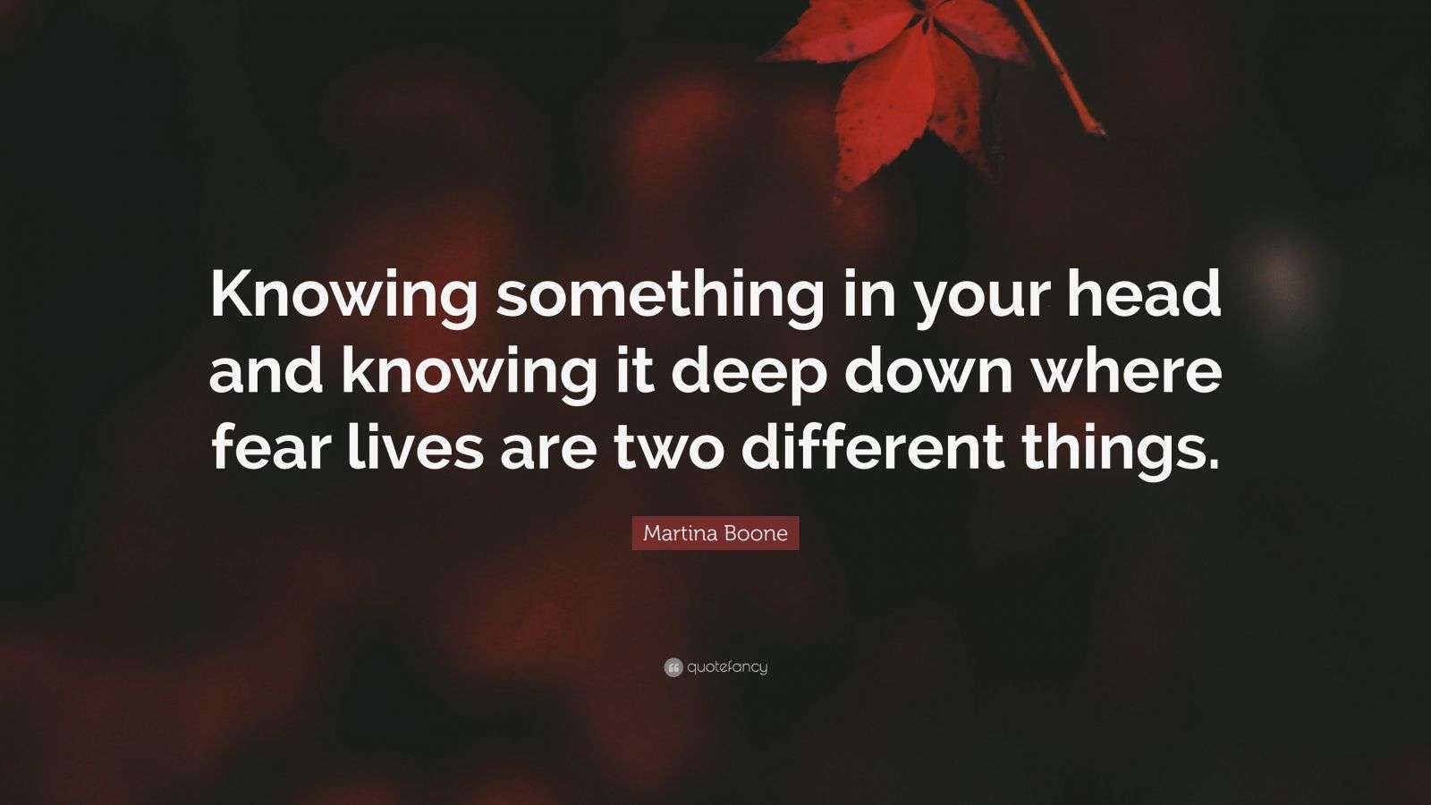 Martina Boone Quote: “Knowing something in your head and knowing it ...