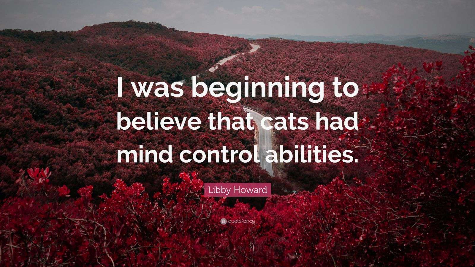 Libby Howard Quote: “I was beginning to believe that cats had mind control abilities.”