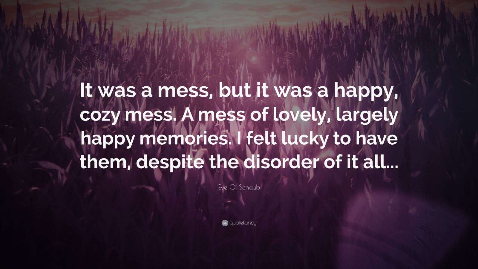 Eve O. Schaub Quote: “It was a mess, but it was a happy, cozy mess. A ...