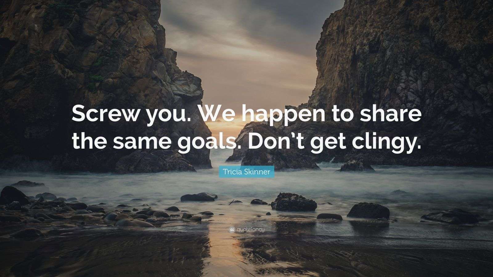 Tricia Skinner Quote: “Screw you. We happen to share the same goals ...
