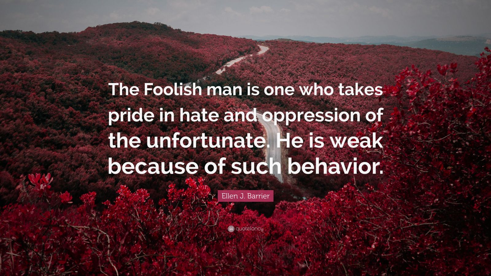 Ellen J. Barrier Quote: “The Foolish man is one who takes pride in hate ...