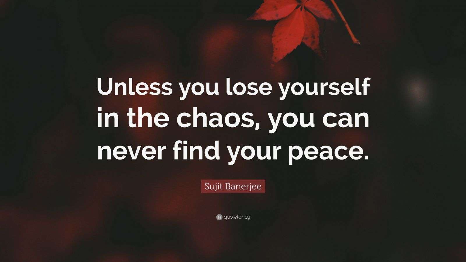 Sujit Banerjee Quote: “Unless you lose yourself in the chaos, you can ...