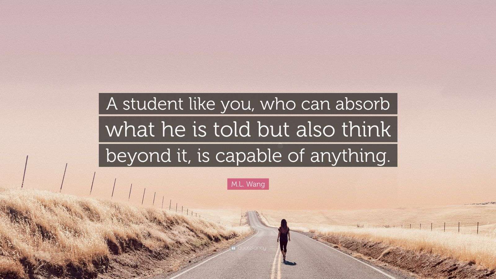 M.L. Wang Quote: “A student like you, who can absorb what he is told ...