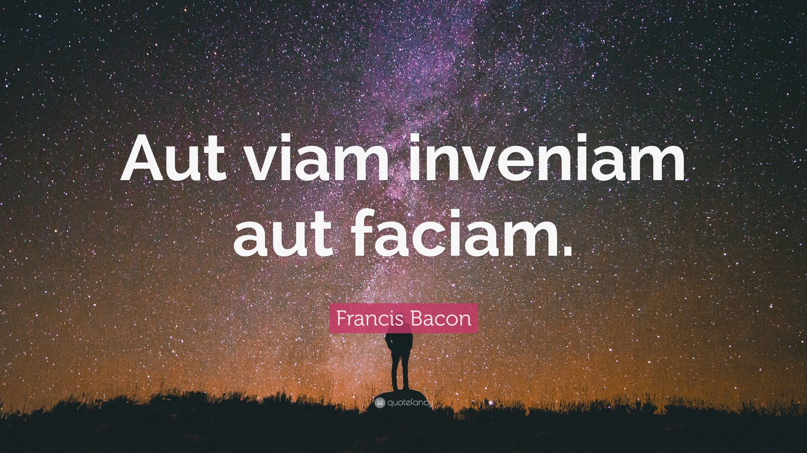 Francis Bacon Quote: “Aut viam inveniam aut faciam.”