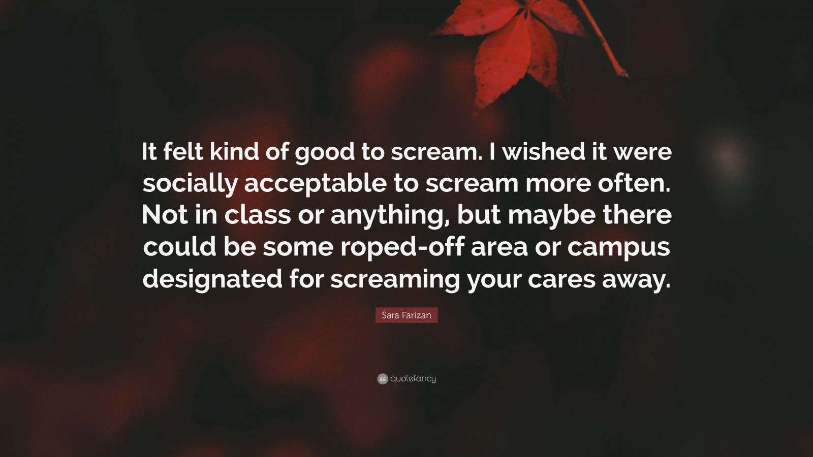 Sara Farizan Quote: “It felt kind of good to scream. I wished it were ...