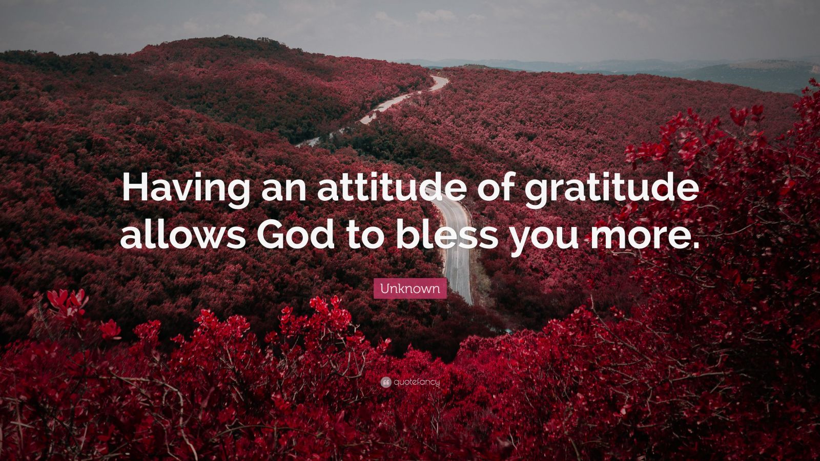 Unknown Quote: “Having an attitude of gratitude allows God to bless you ...