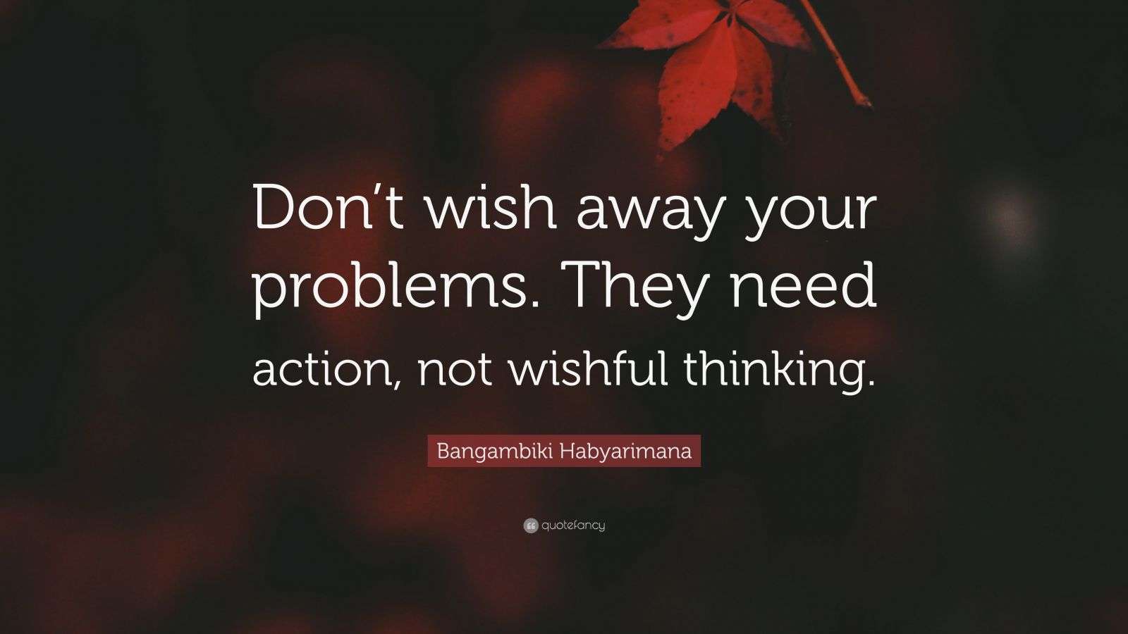 Bangambiki Habyarimana Quote: “Don’t wish away your problems. They need ...