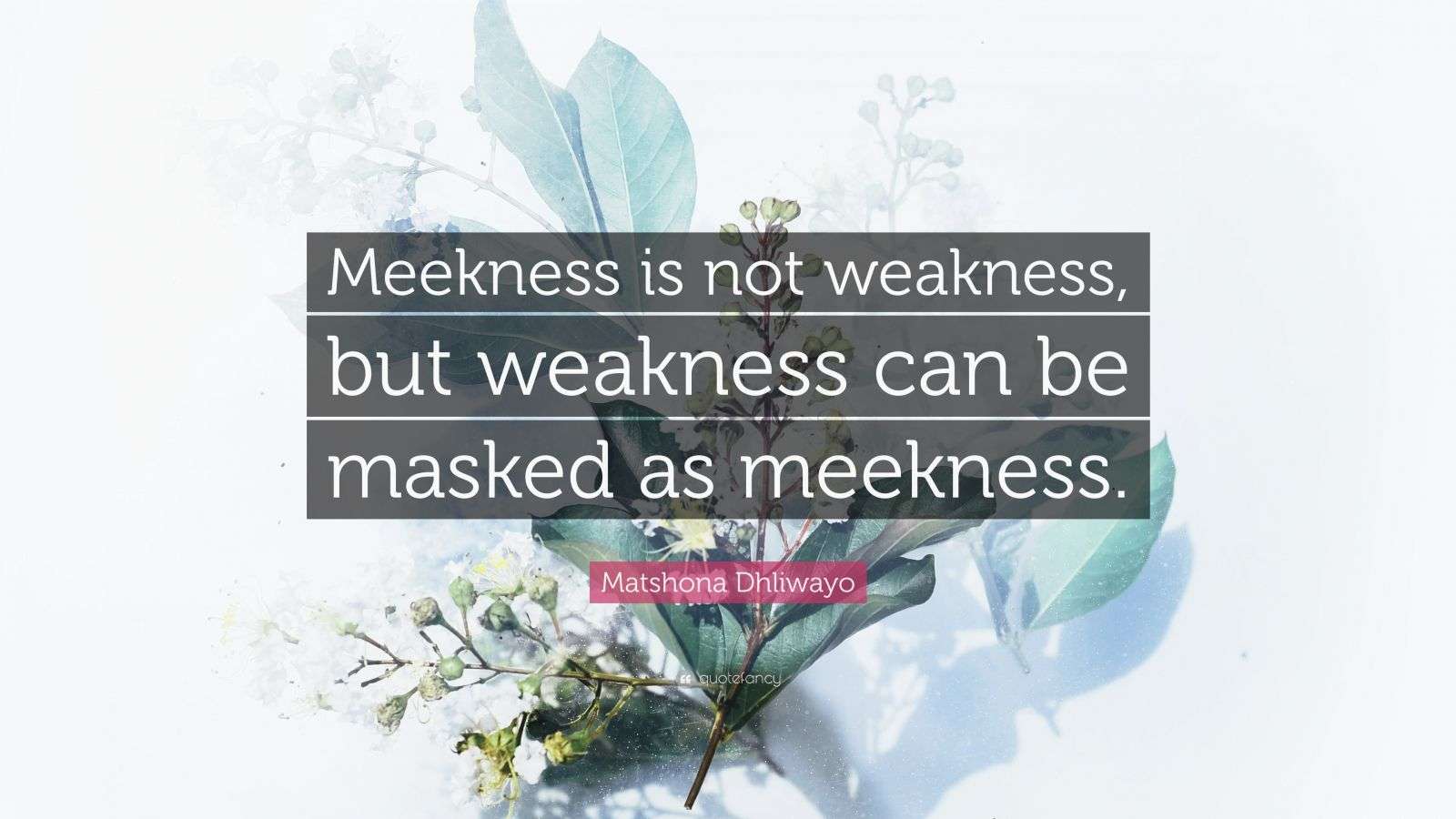Matshona Dhliwayo Quote: “Meekness is not weakness, but weakness can be ...