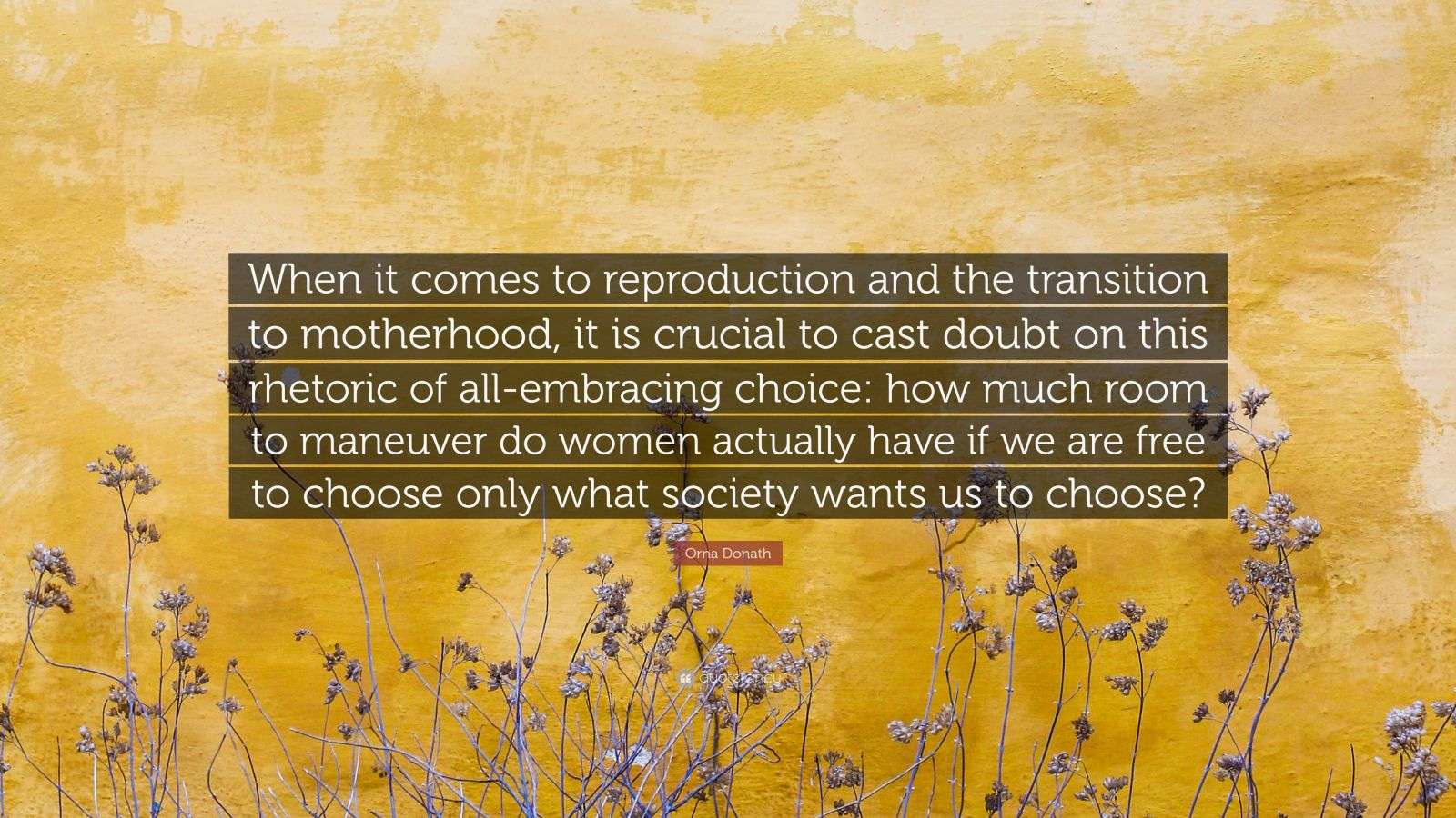 Orna Donath Quote: “When it comes to reproduction and the transition to ...