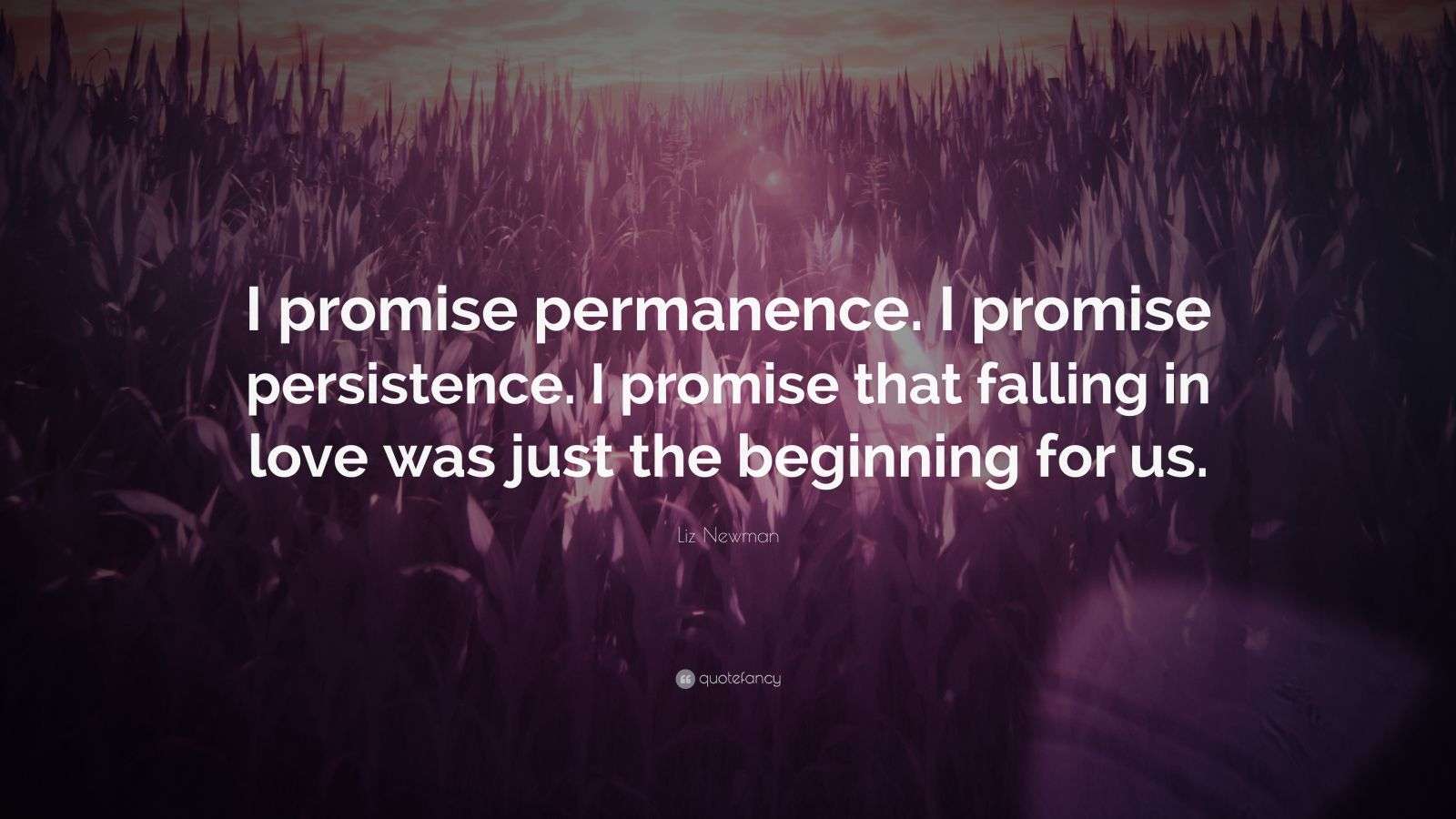 Liz Newman Quote: “I promise permanence. I promise persistence. I ...