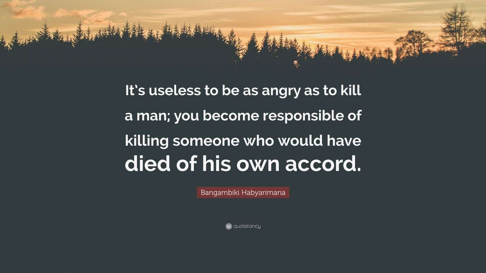 Bangambiki Habyarimana Quote: “It’s useless to be as angry as to kill a ...